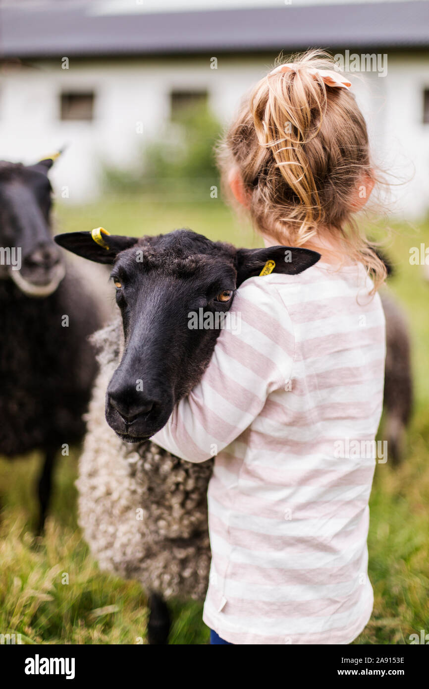 Girl hugging sheep Stock Photo - Alamy