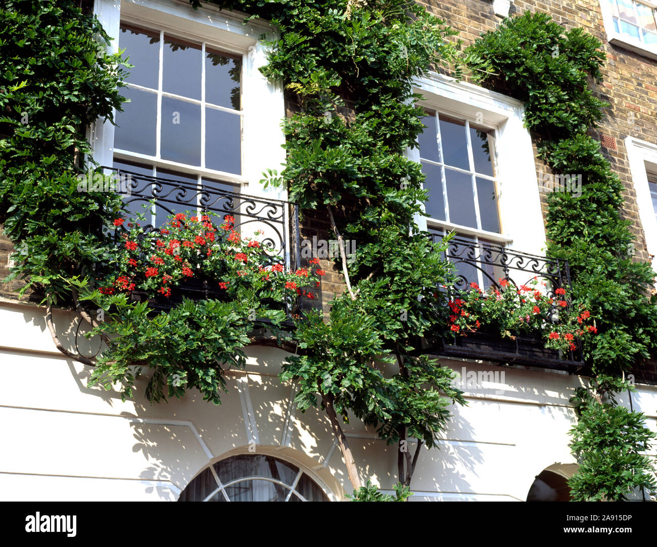 Close up of a Georgian facade with sash windows surrounded with ...