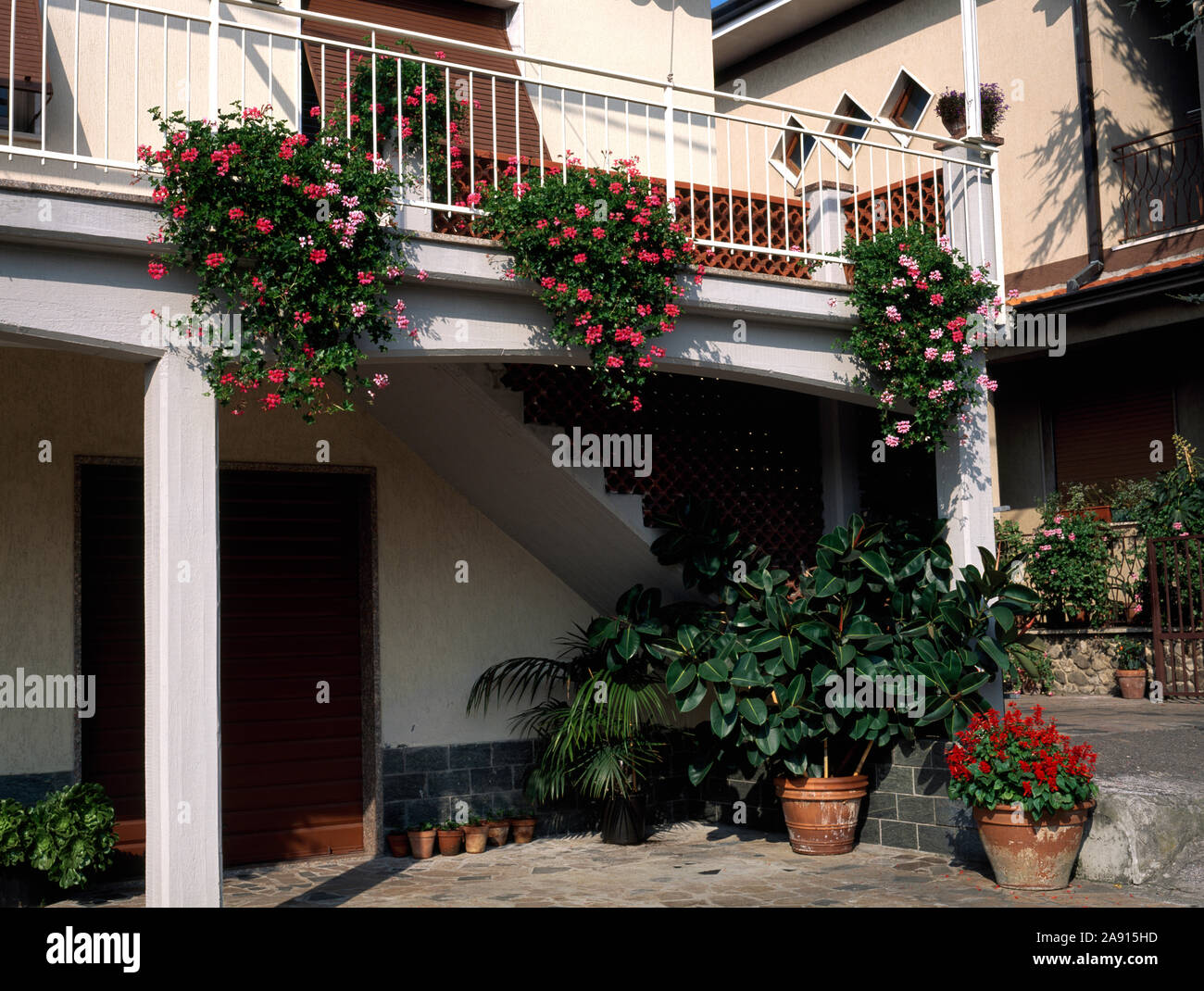 Colourful trailing geraniums in containers on balcony above courtyard ...
