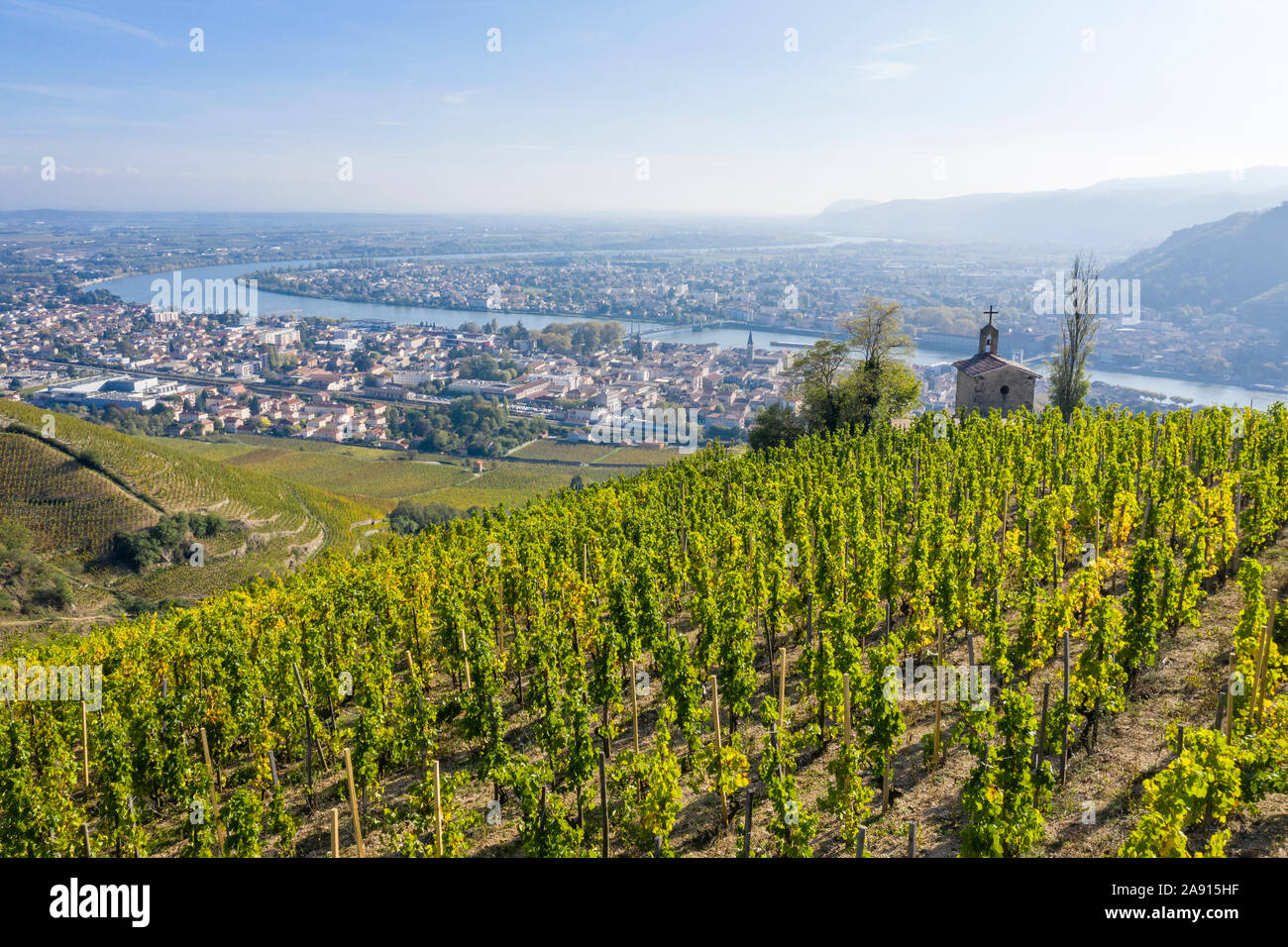 France, Drome, Tain l'Hermitage, AOC vineyard of the Rhone valley, view ...