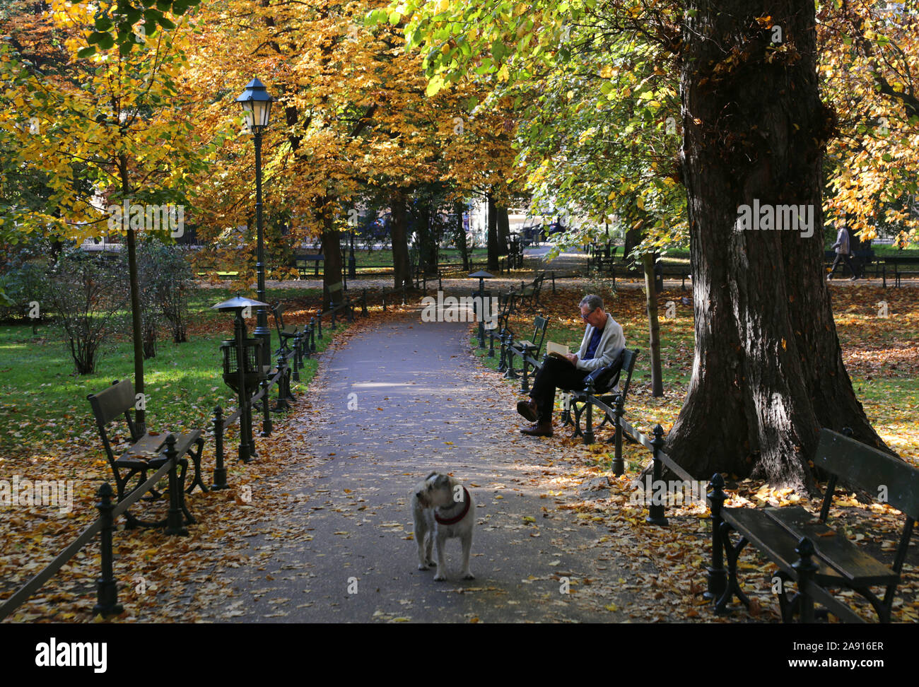 Man sitting under tree reading hi-res stock photography and images - Alamy