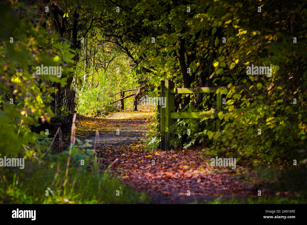 Sandwell valley hi-res stock photography and images - Alamy