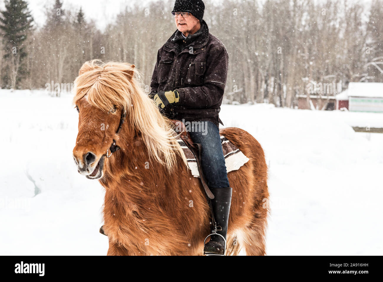 Senior man riding pony Stock Photo - Alamy