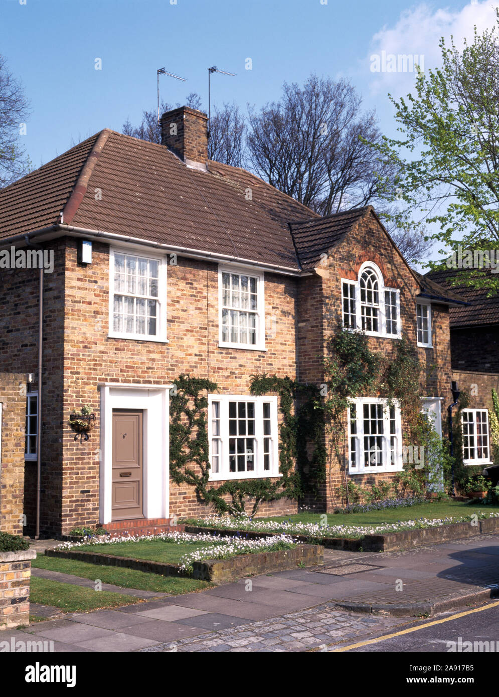 Suburban homes in UK Stock Photo - Alamy