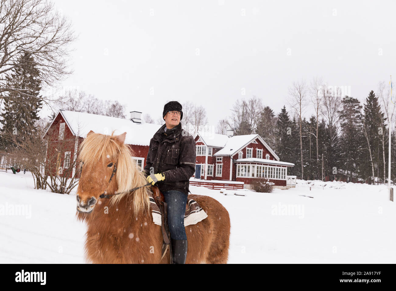 Man riding pony hi-res stock photography and images - Alamy