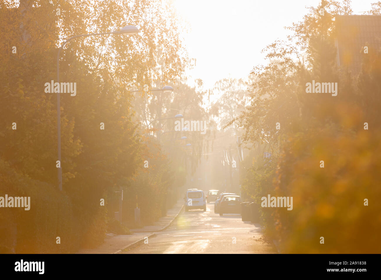 Street at autumn Stock Photo - Alamy
