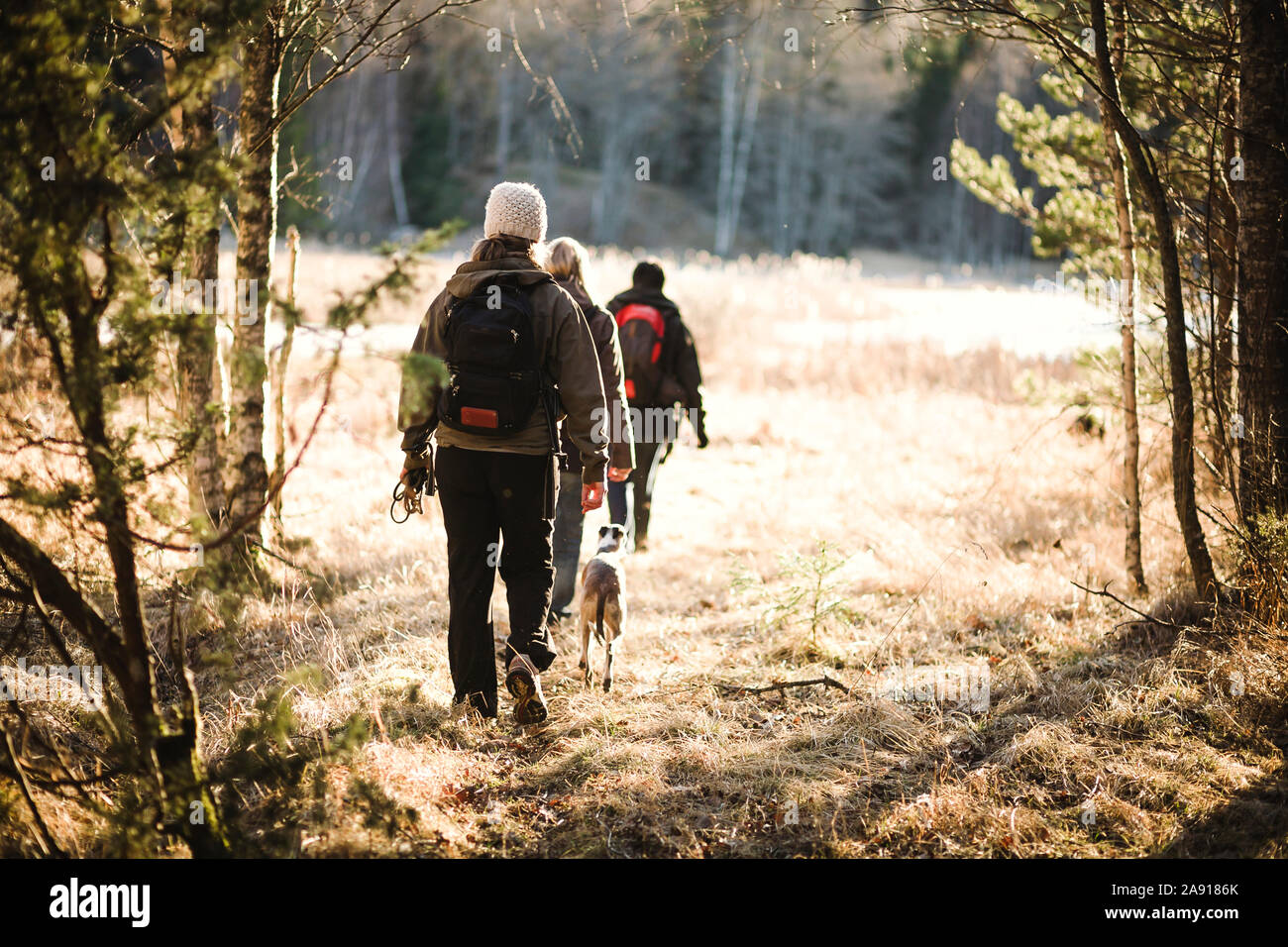 Three hikers walking through hi-res stock photography and images - Alamy