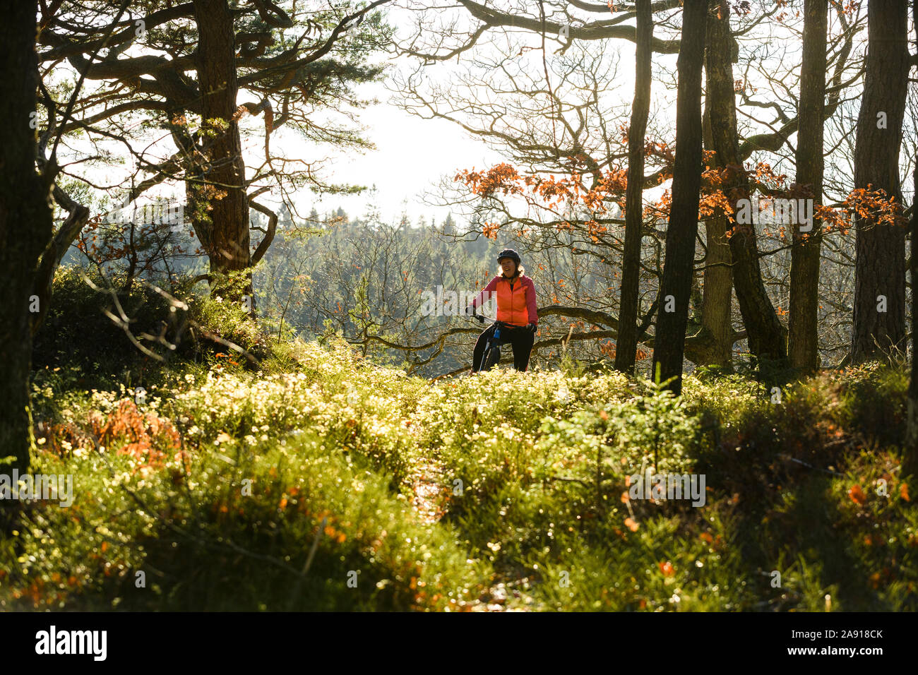 Cycling in forest Stock Photo - Alamy