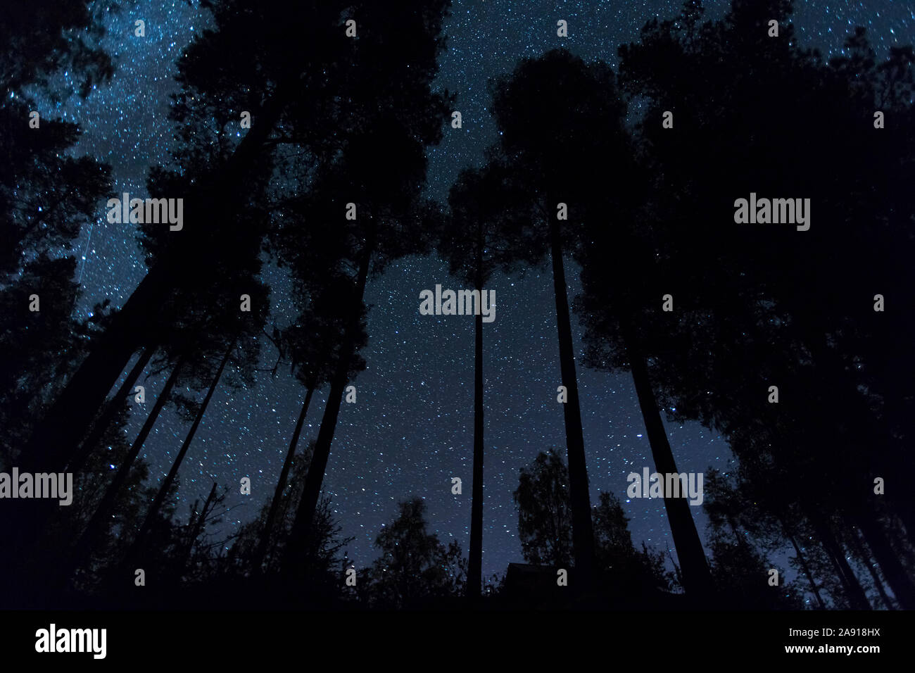 Starry night vision hi-res stock photography and images - Alamy