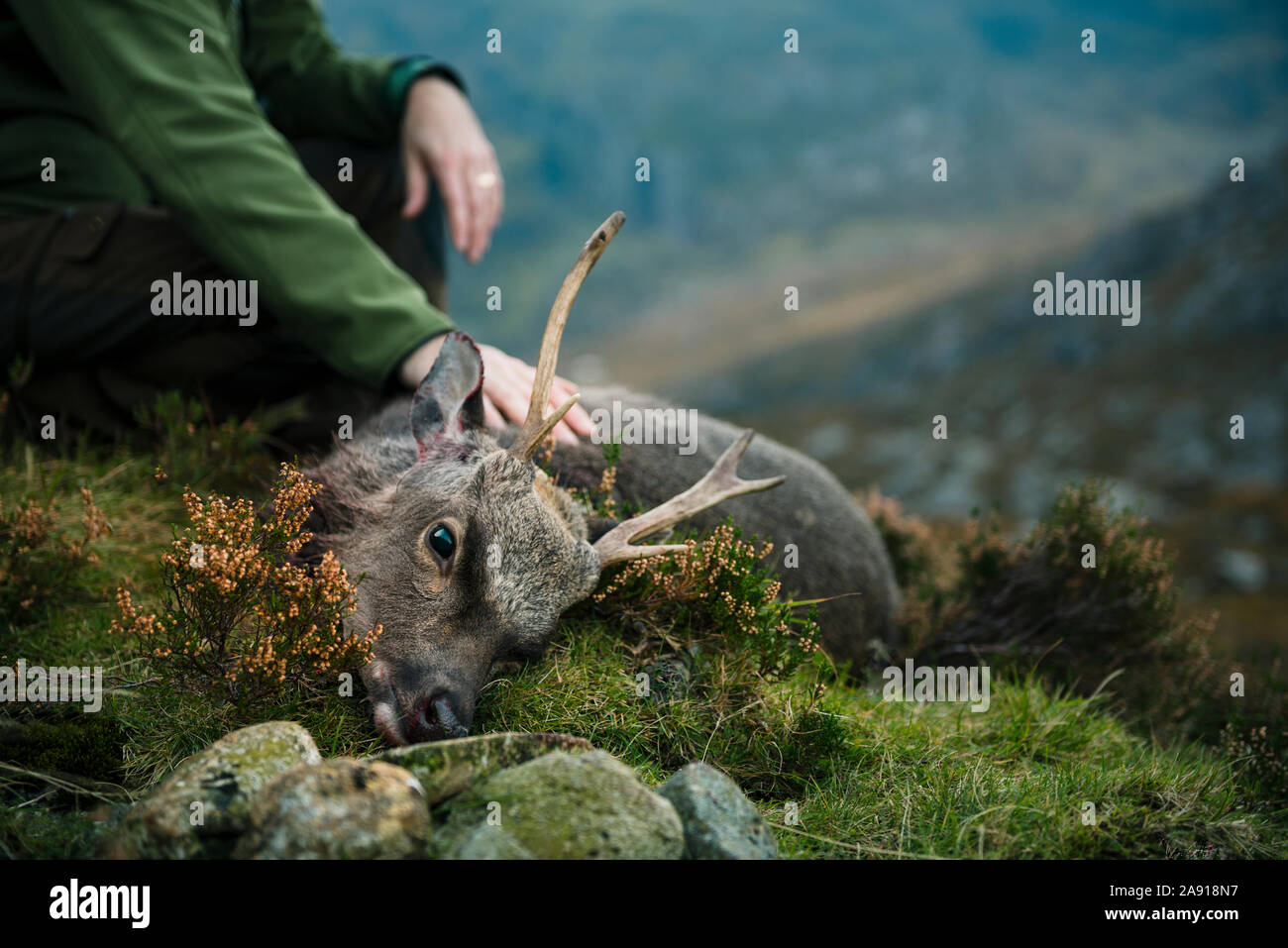Cadaver dead male body in hi-res stock photography and images - Alamy