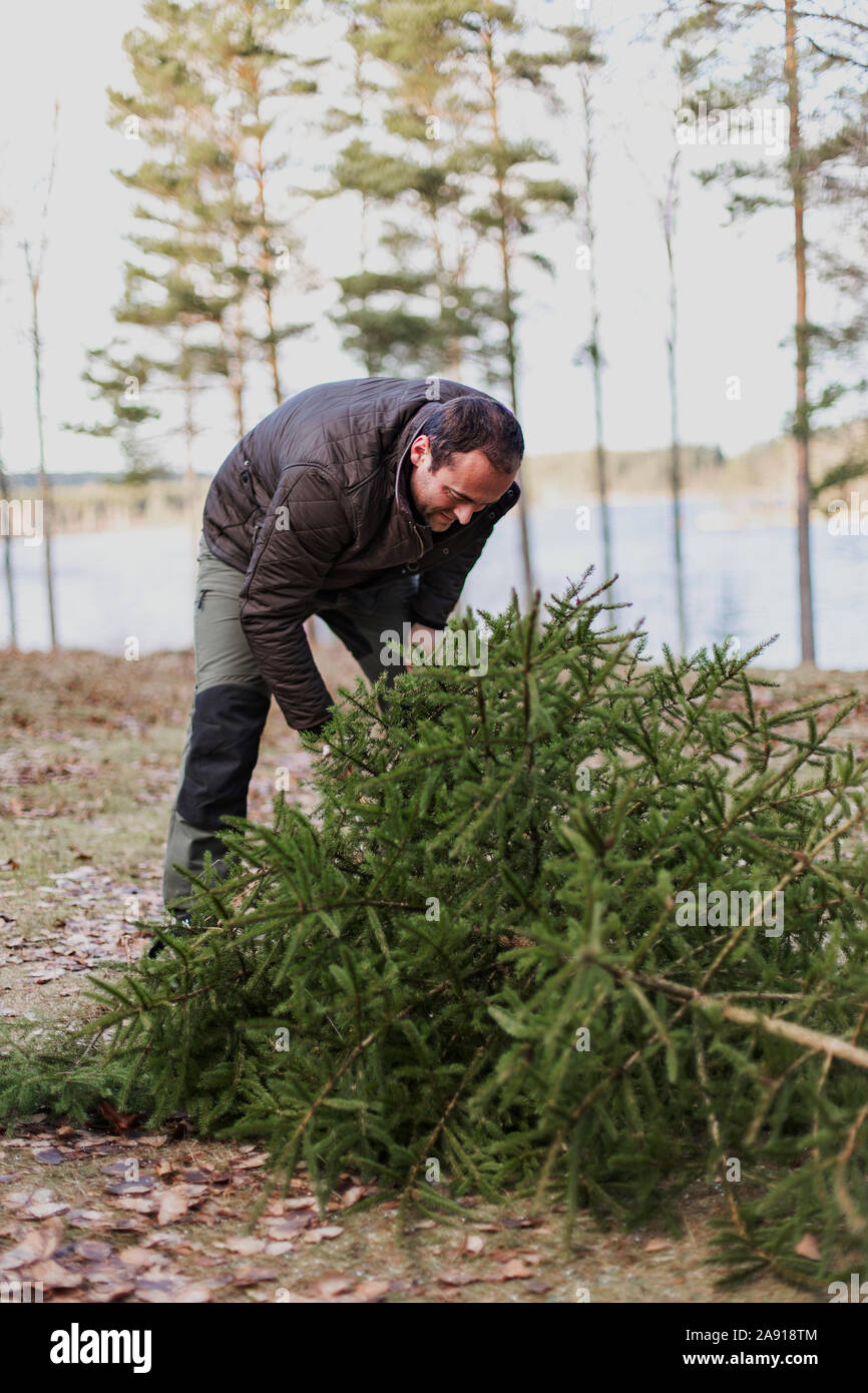 Man cut tree hi-res stock photography and images - Alamy