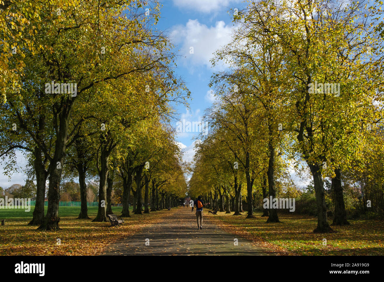 Preston avenue hi-res stock photography and images - Alamy
