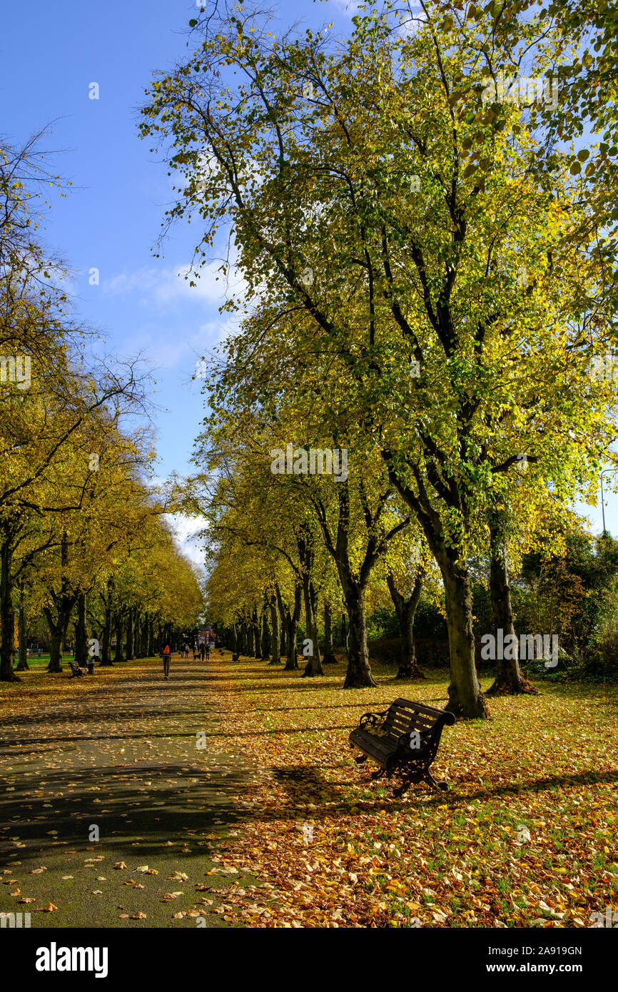 Haslam Park, Preston Stock Photo - Alamy