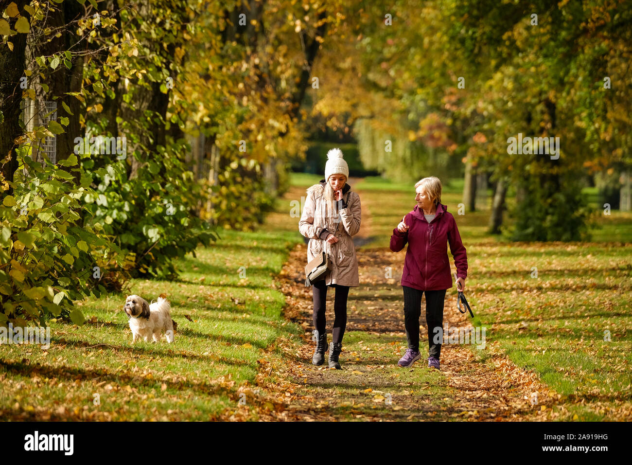 Two women walking a dog through Autumn trees Stock Photo - Alamy