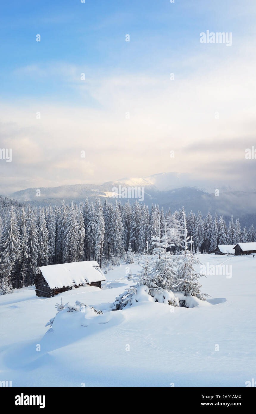 Ukrainian climate hi-res stock photography and images - Alamy