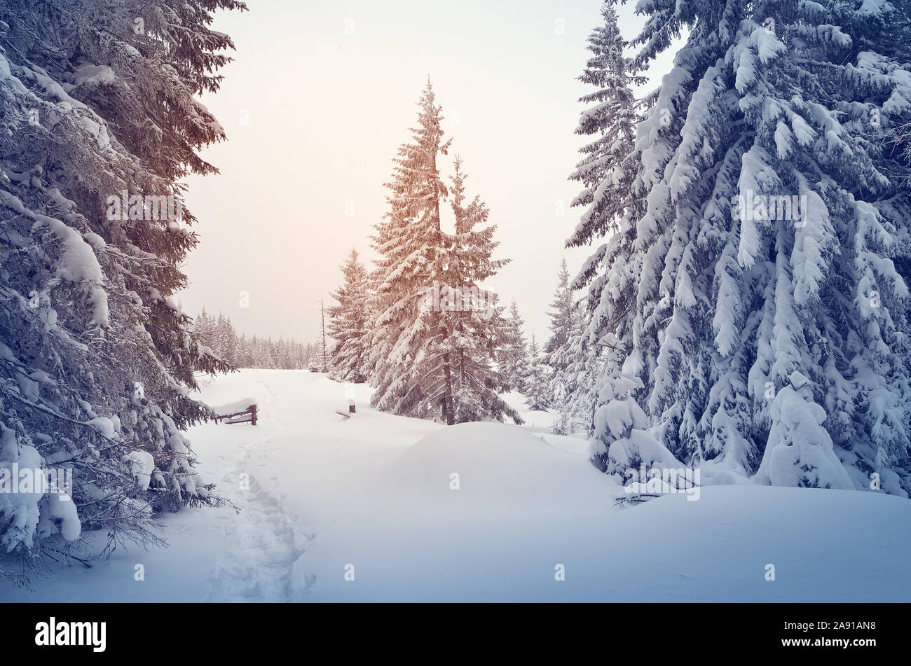 Ice covered footpath hi-res stock photography and images - Alamy