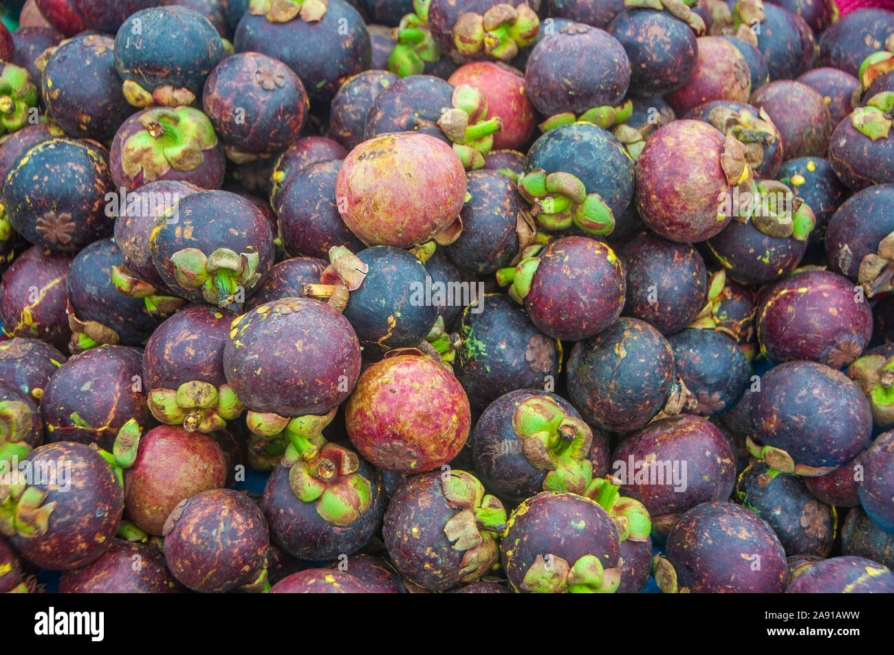 Pile of ripe mangosteen pattern texture background Stock Photo - Alamy