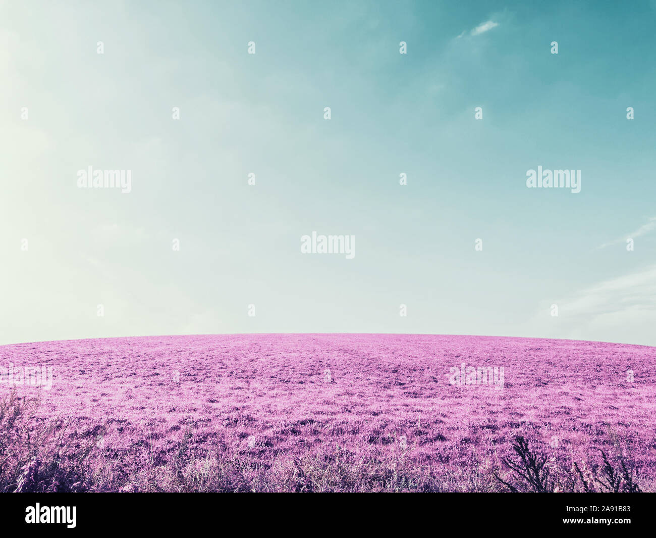 Beautiful purple infrared landscape hi-res stock photography and images ...