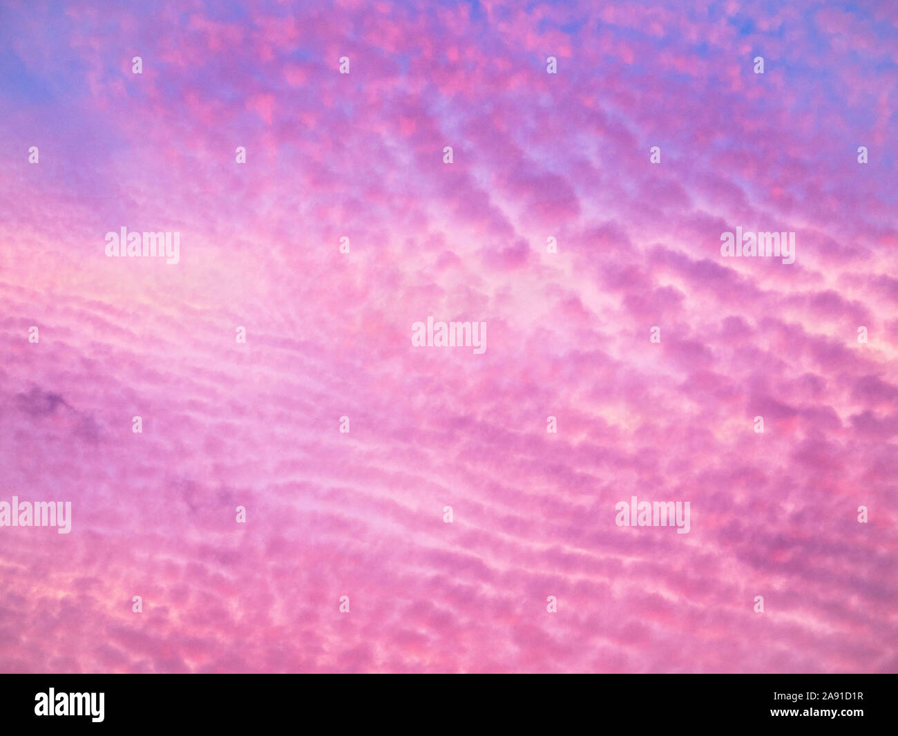 evening sky with pink clouds at sunset Stock Photo - Alamy
