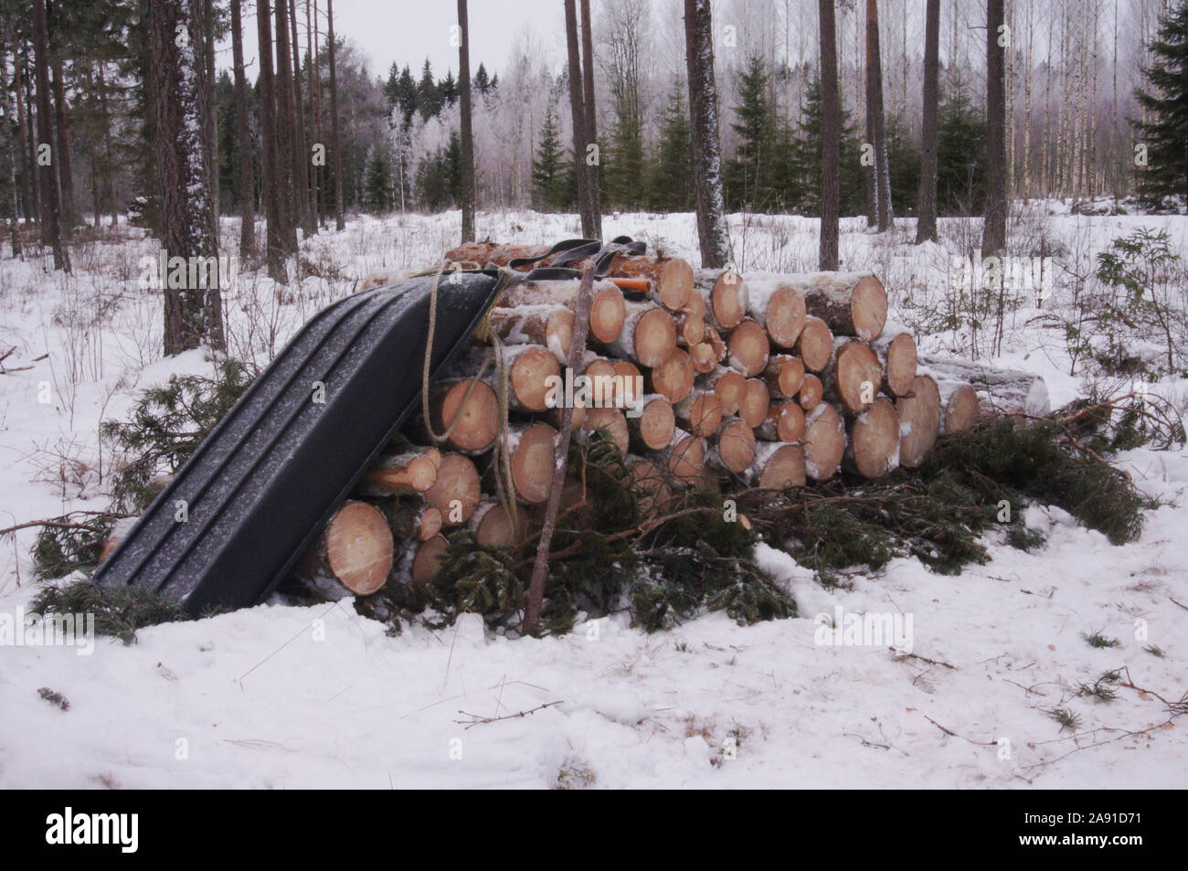 Pile of cut down trees waiting for transportation Stock Photo - Alamy