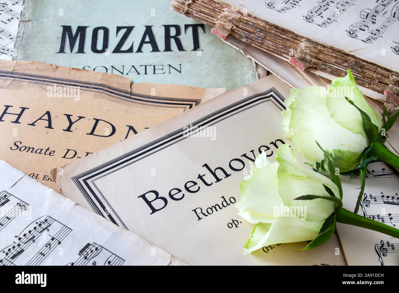 Classical music and roses Stock Photo - Alamy