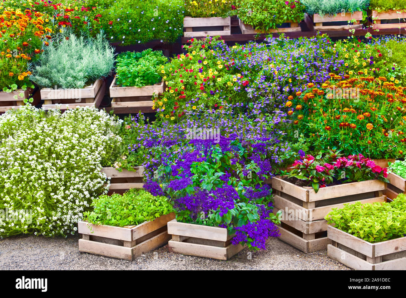 Flower market background Stock Photo - Alamy