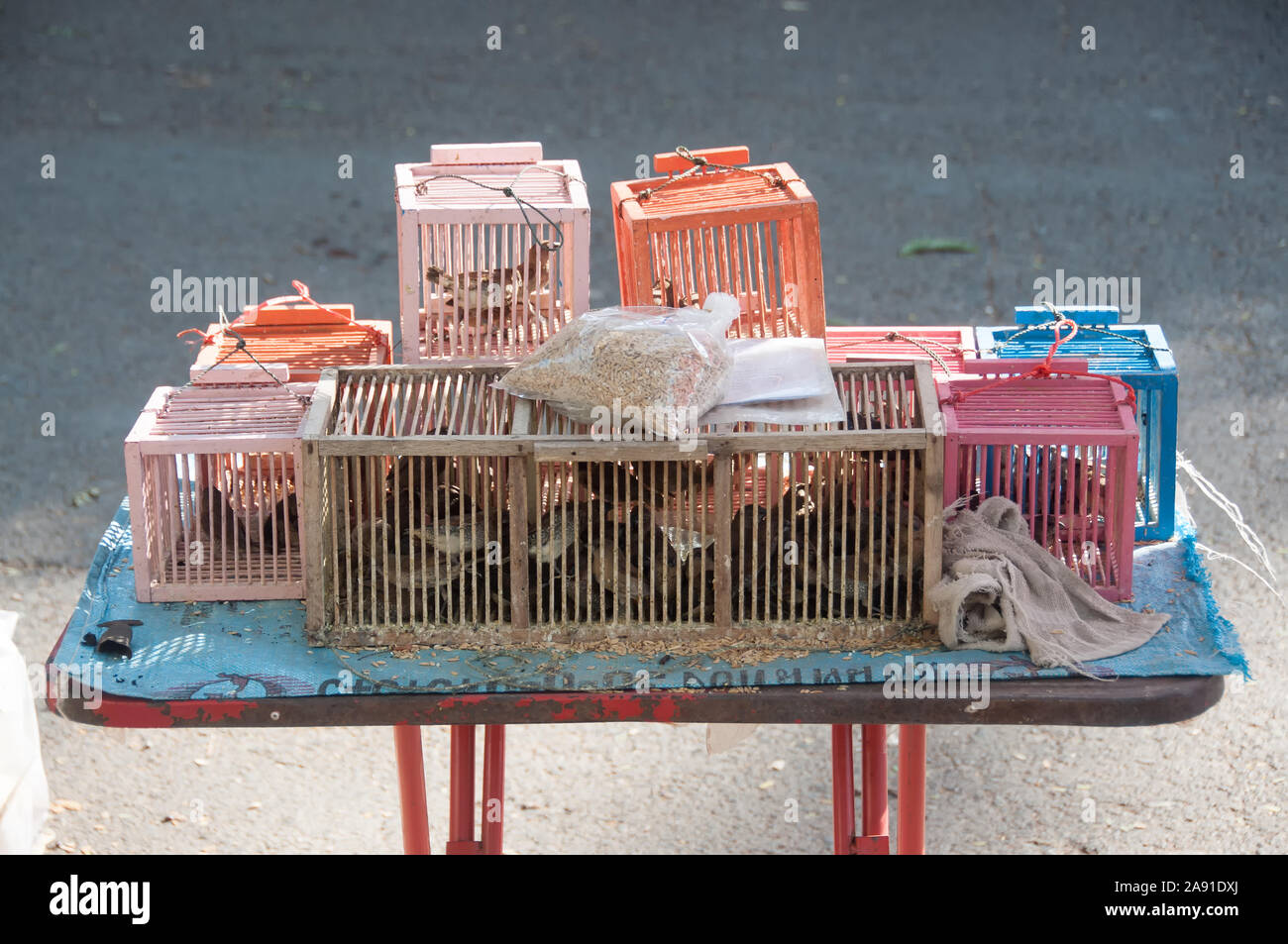 Poor birds in cages for sale to be set free Stock Photo - Alamy