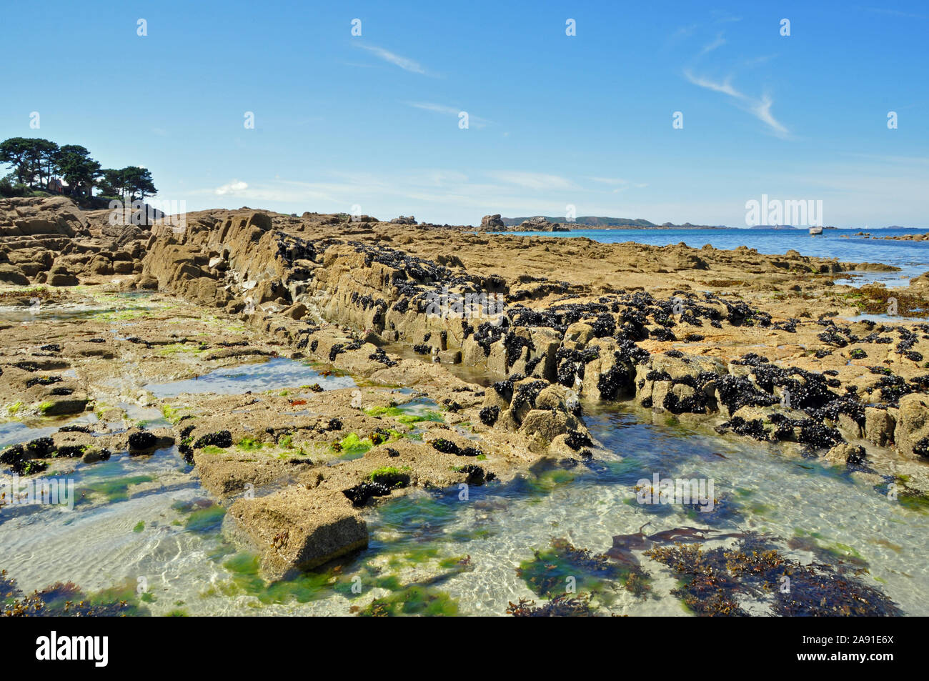 Rocky shoreline, Trestel beach, Brittany Stock Photo - Alamy