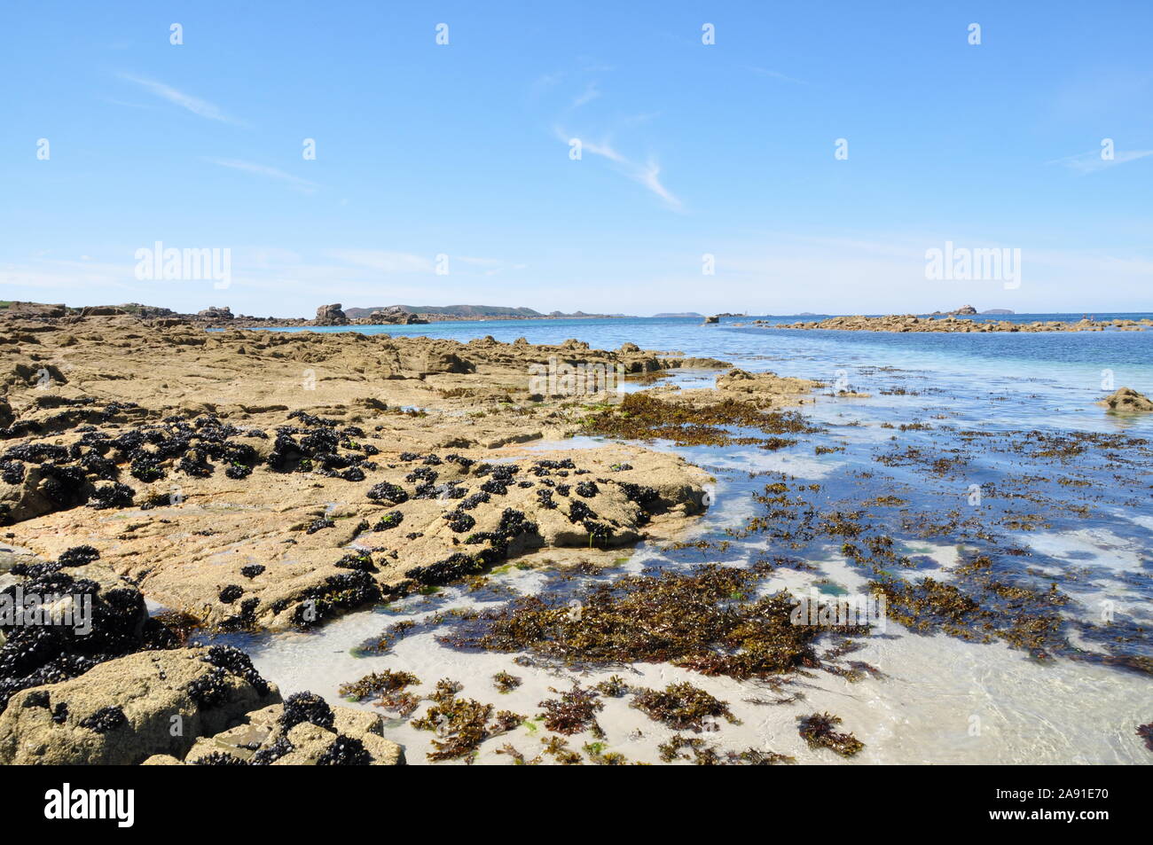 Trestel hi-res stock photography and images - Alamy