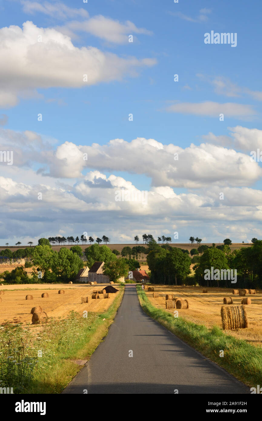 Normandy Summer farming countryside, France Stock Photo - Alamy