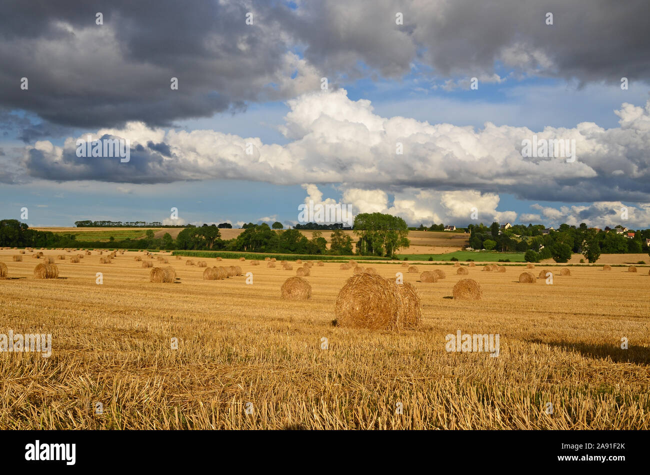 Normandy Summer farming countryside, France Stock Photo - Alamy
