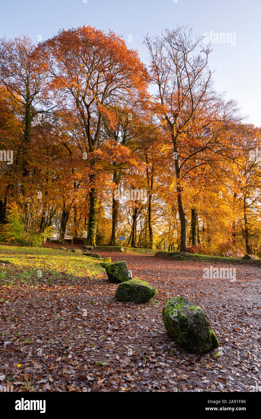 Autumn at Whitestone picnic and viewpoint in the lower Wye Valley ...