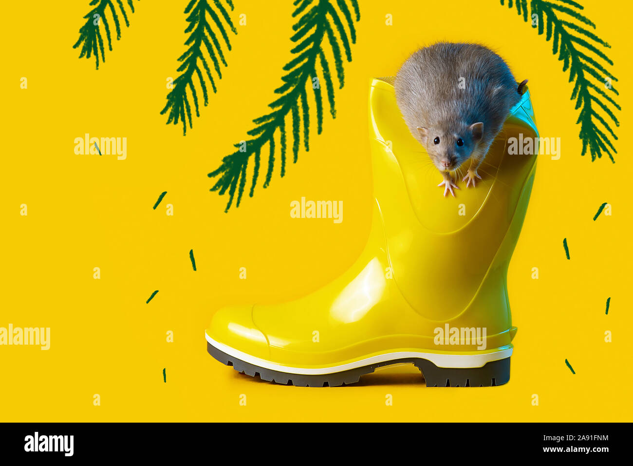 decorative rat in bright yellow rubber boot on blue background ...