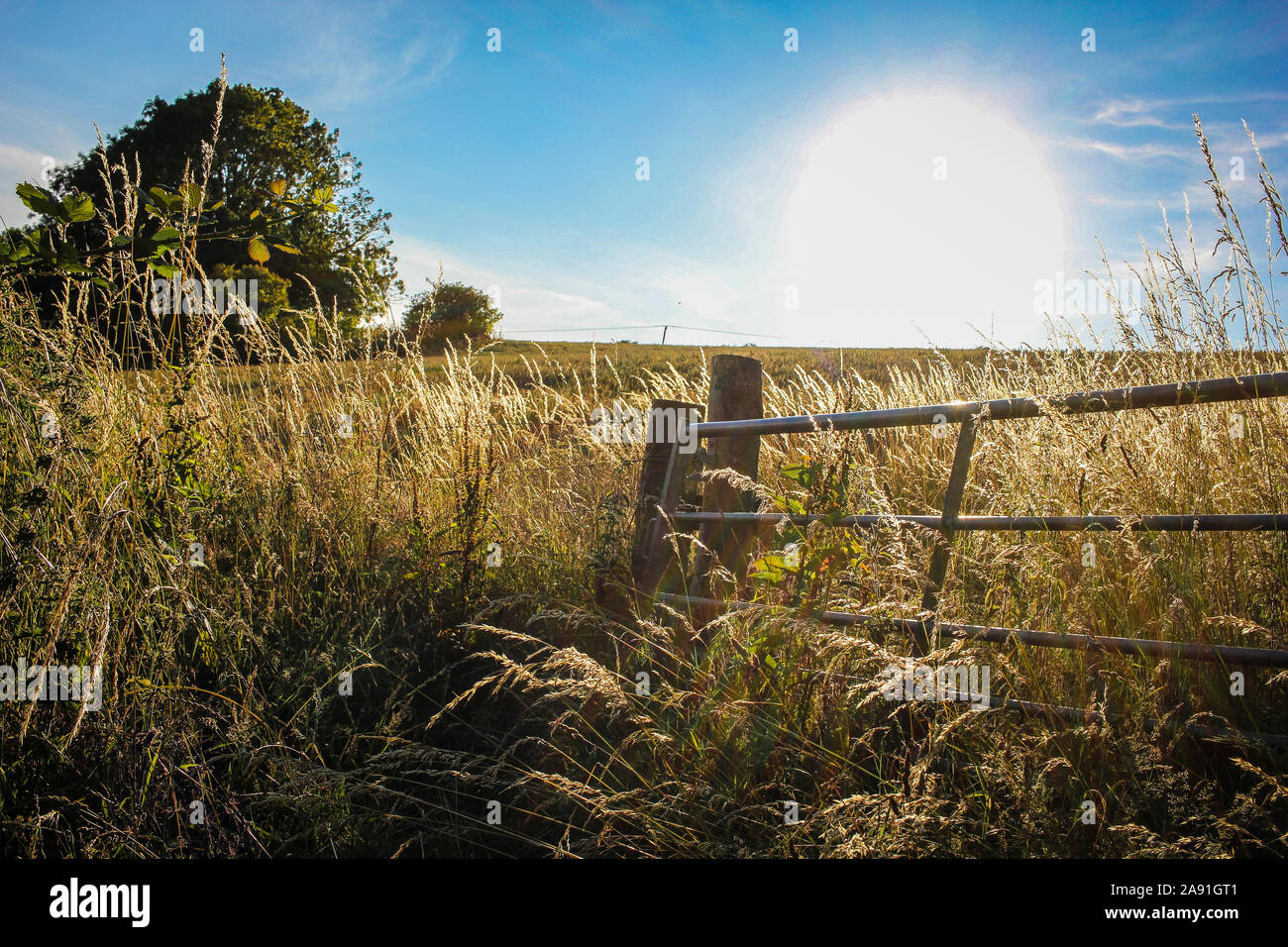 British farm sunset hi-res stock photography and images - Alamy