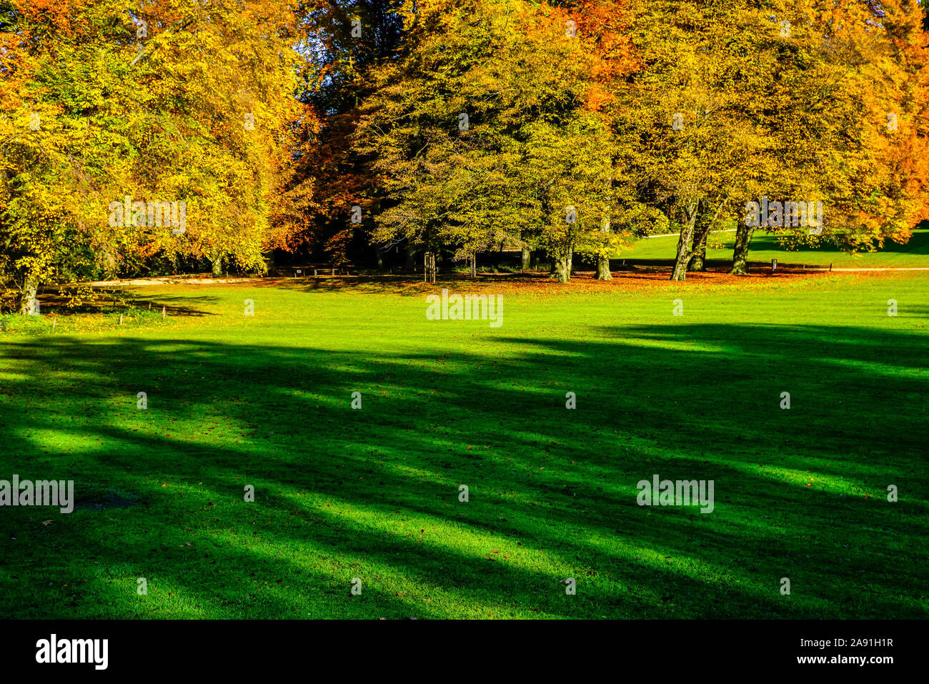 Wenkenpark hi-res stock photography and images - Alamy