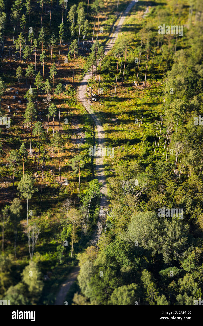 Aerial view of road through forest Stock Photo - Alamy