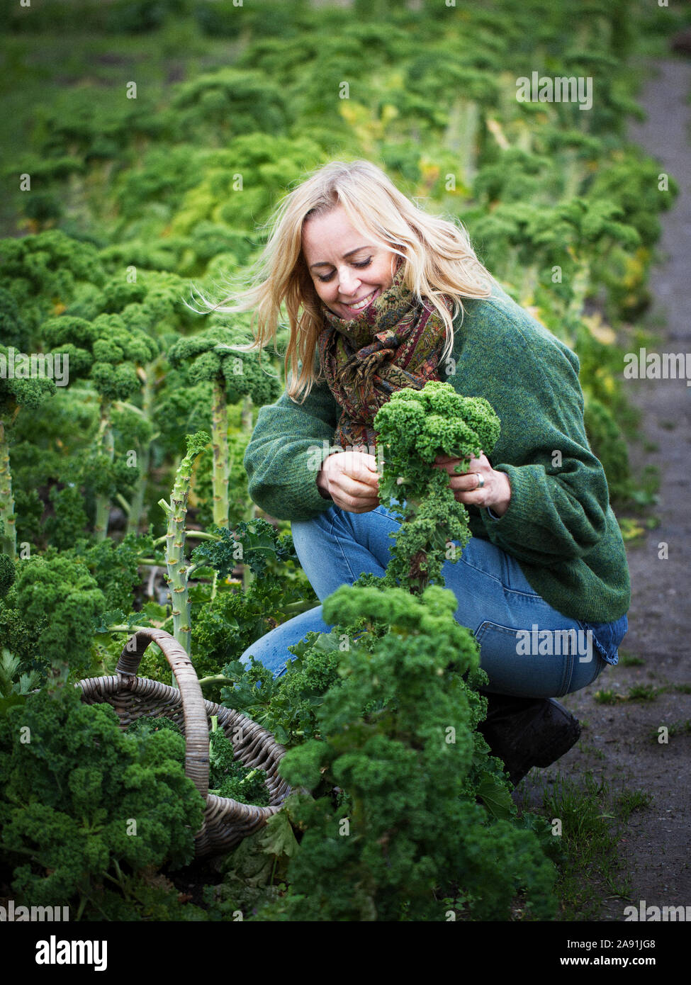 Woman garden vegetables blonde hi-res stock photography and images - Alamy