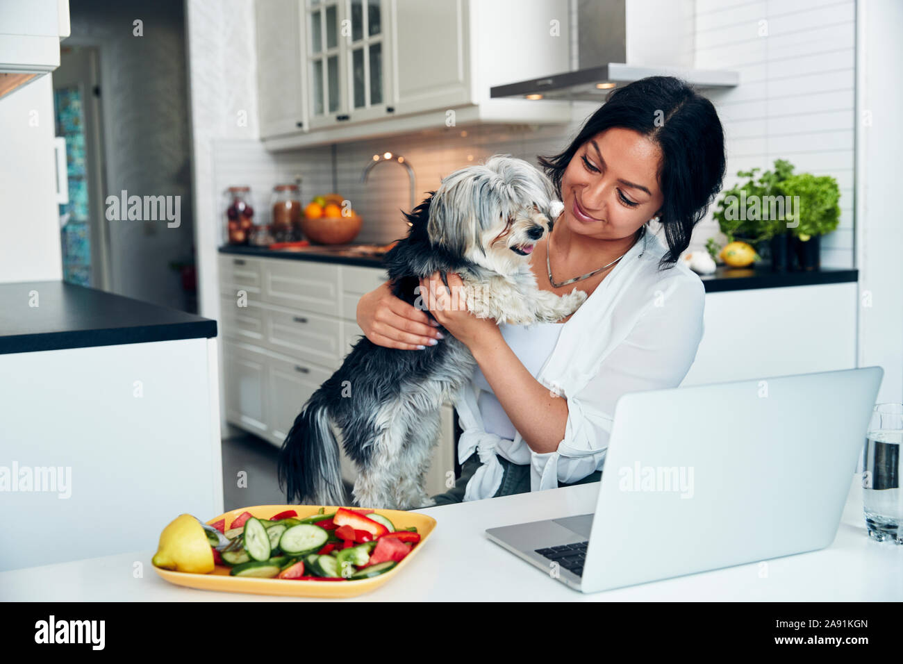 Dog in the kitchen hi-res stock photography and images - Alamy