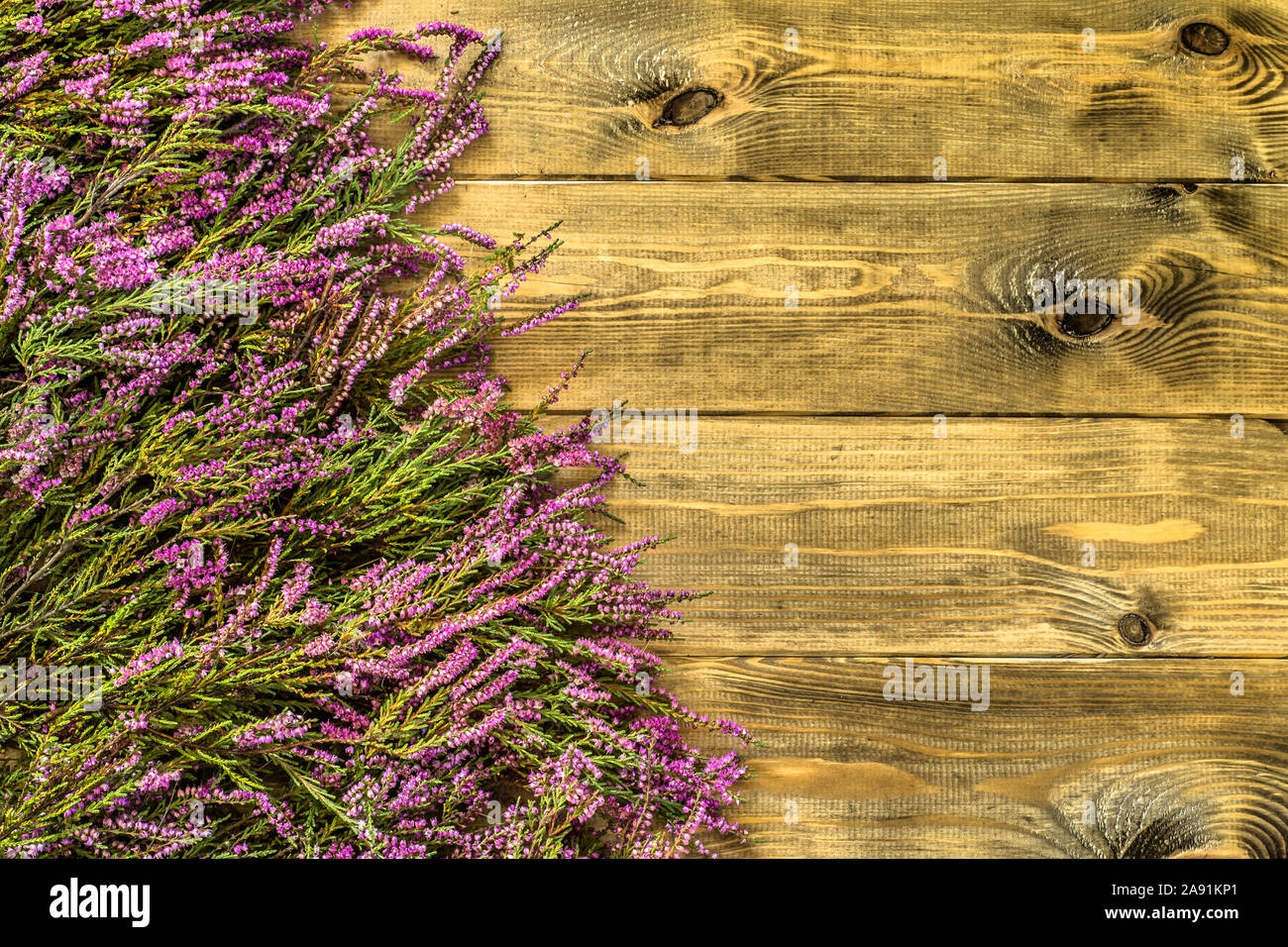 Heather flowers, autumn background, floral frame Stock Photo - Alamy