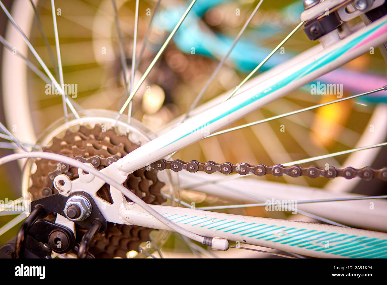 Bicycle wheel. Closeup detail of the rear bicycle wheel - spokes Stock ...