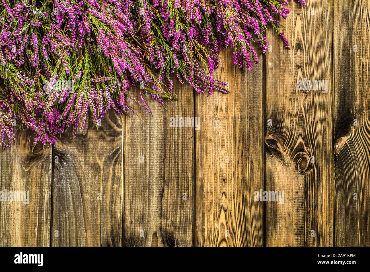 Heather flowers, autumn background, floral frame Stock Photo - Alamy