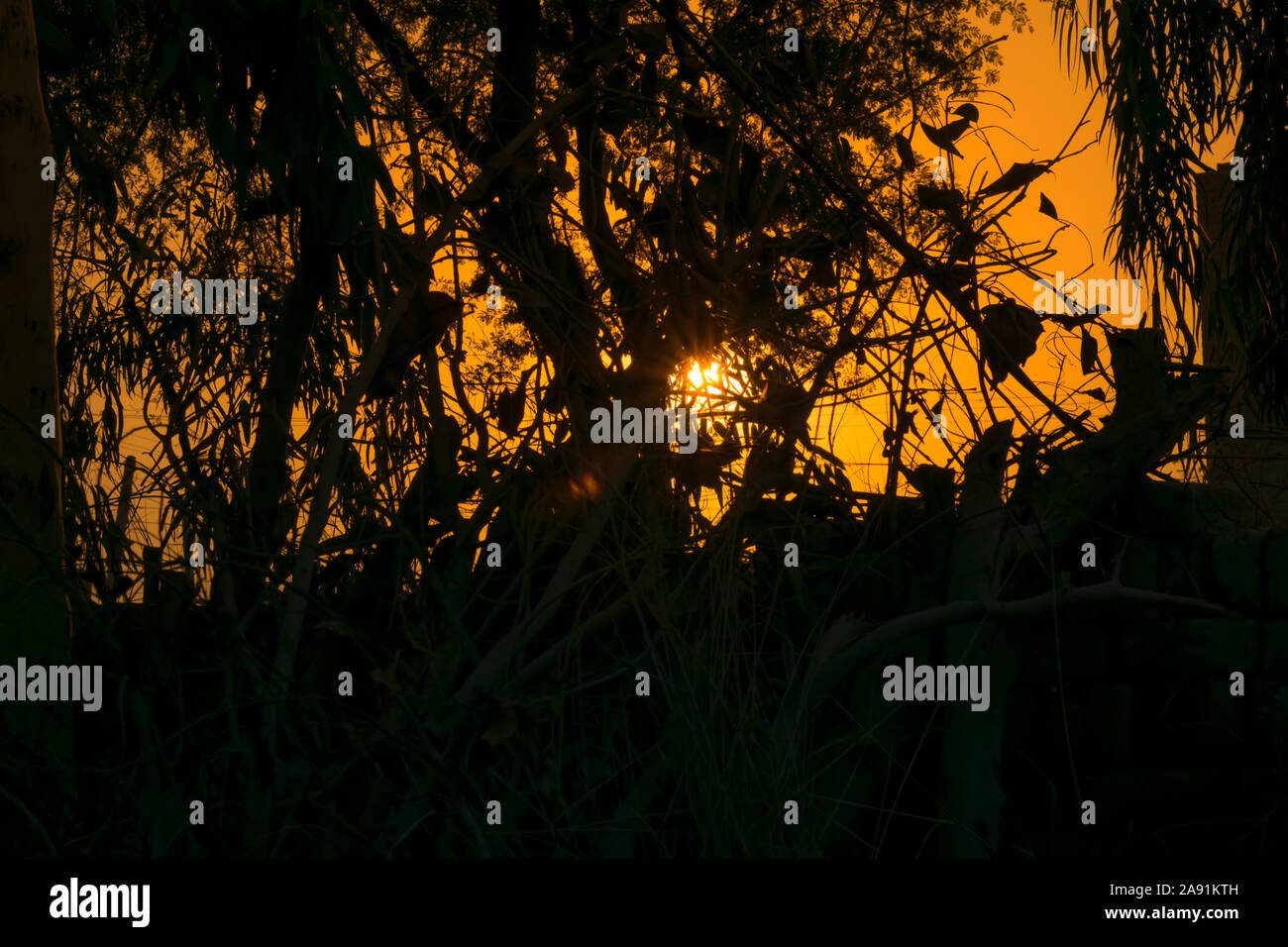 landscape image of sunset in a village in punjab pakistan.sunrise in a ...