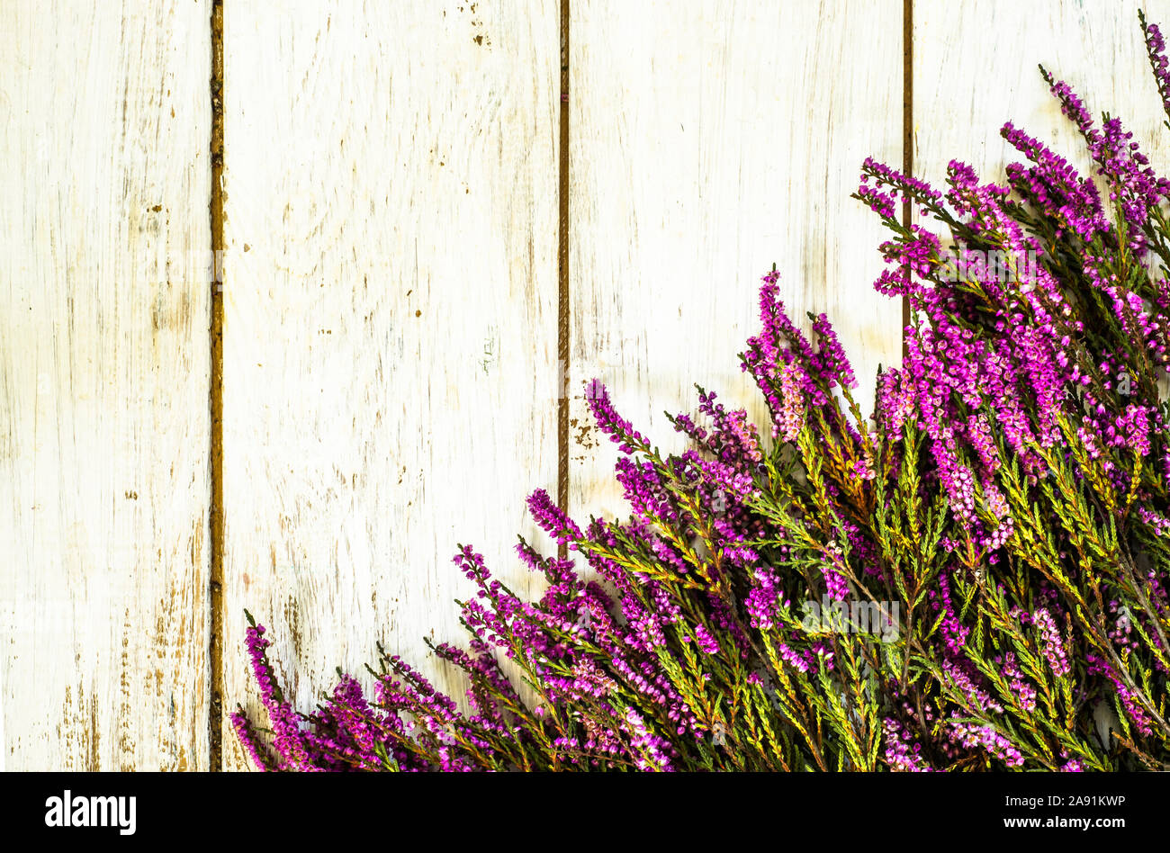 Heather flowers, autumn background, shabby chic frame Stock Photo - Alamy