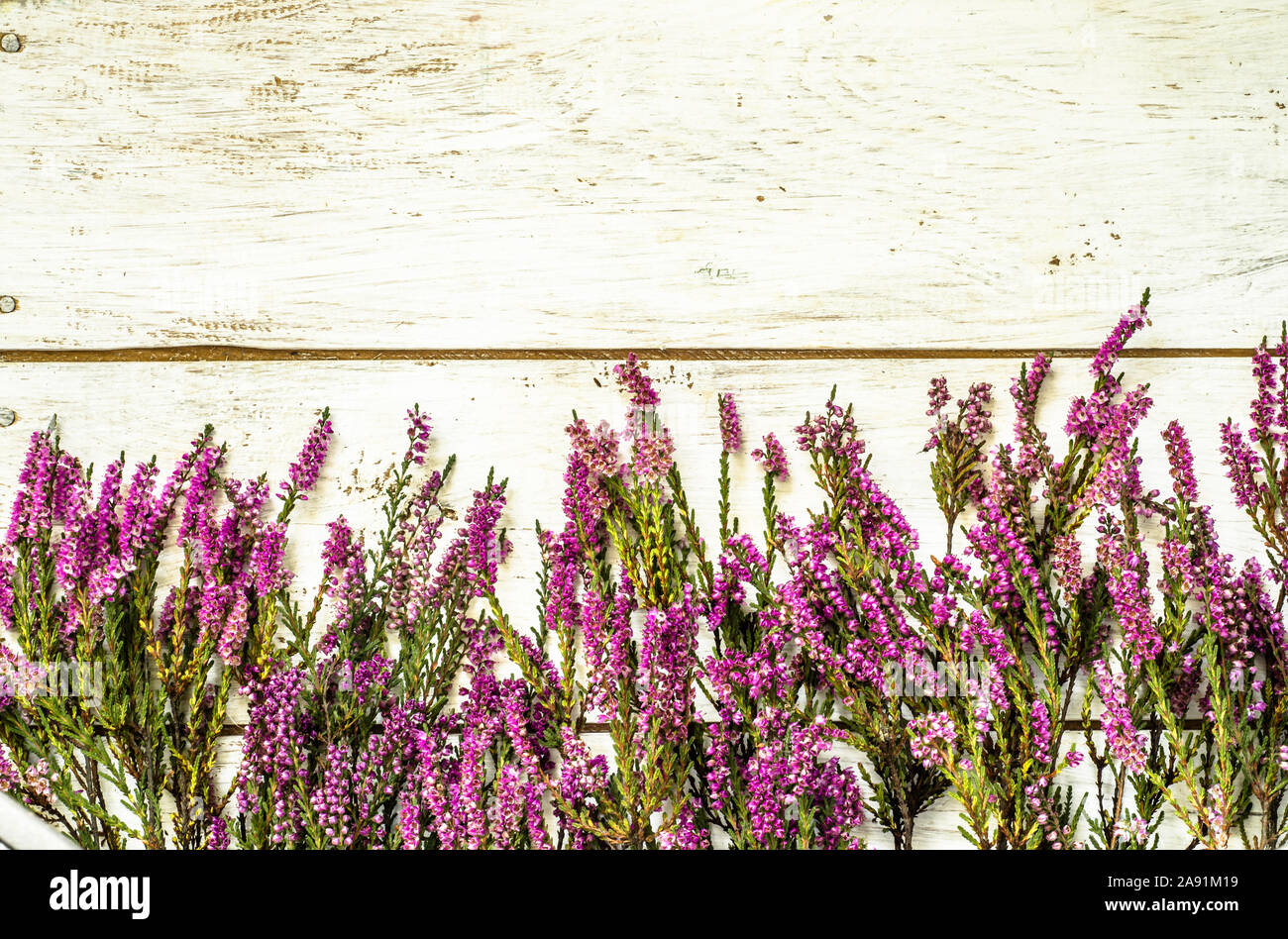 Heather flowers, autumn background, shabby chic frame Stock Photo - Alamy