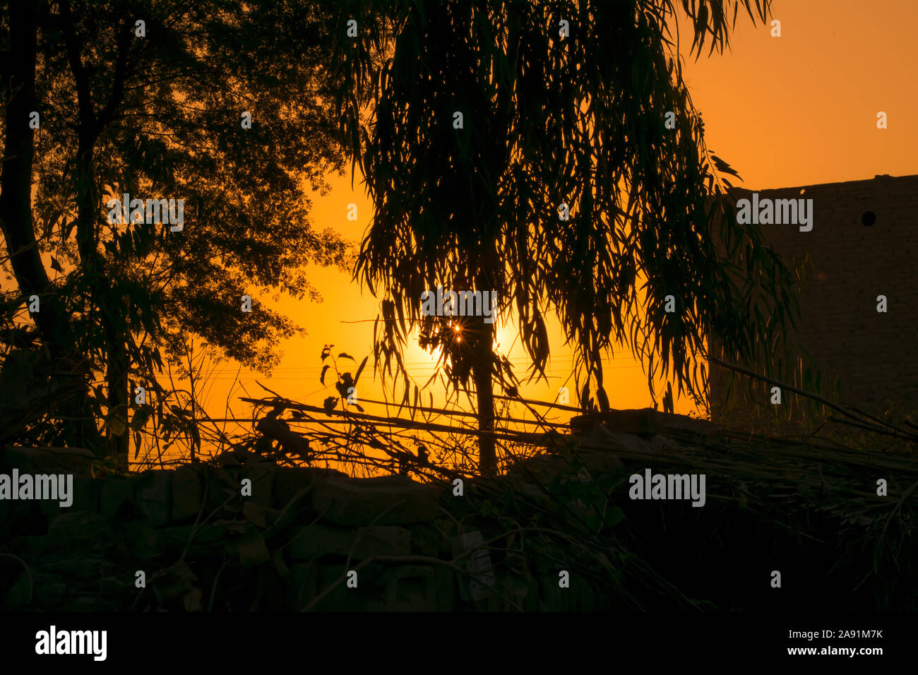 landscape image of sunset in a village in punjab pakistan.sunrise in a ...