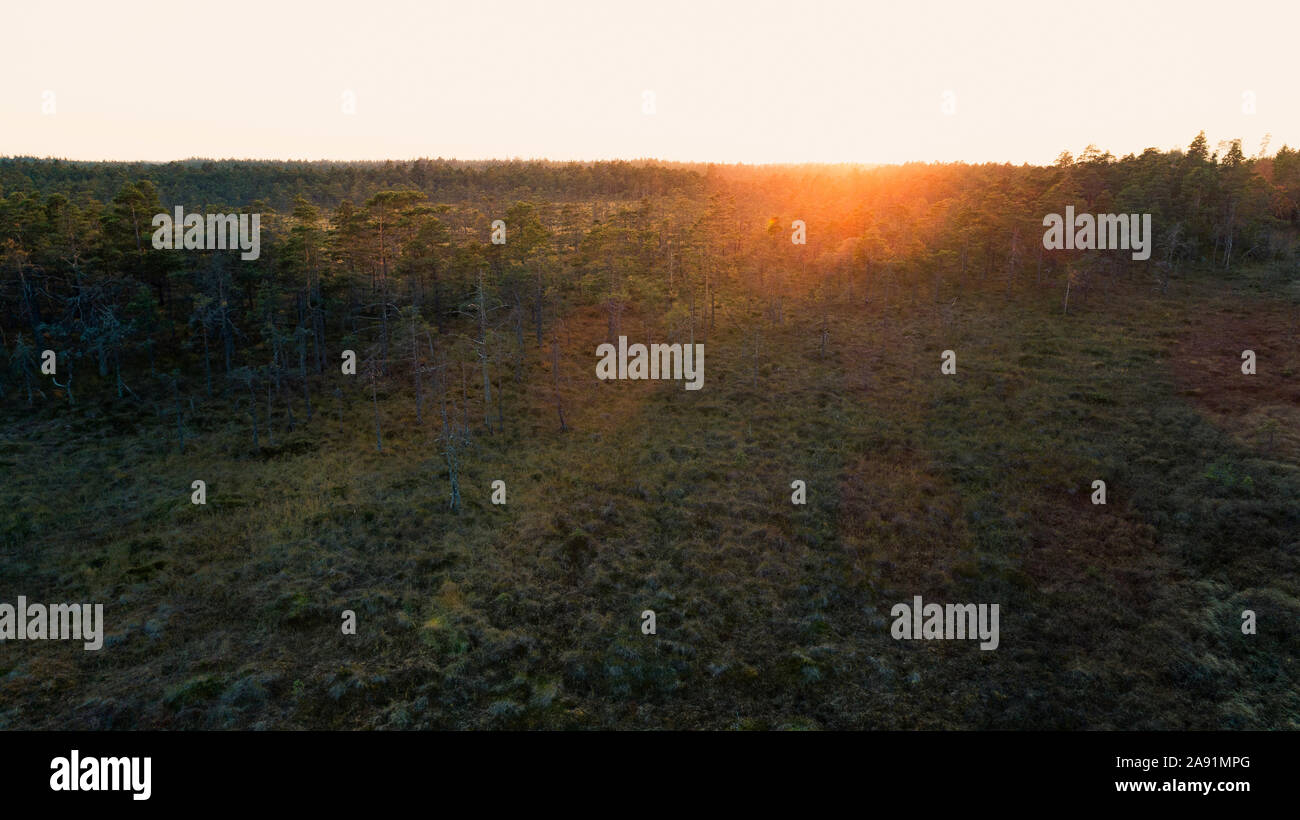 Landscape at sunset Stock Photo - Alamy