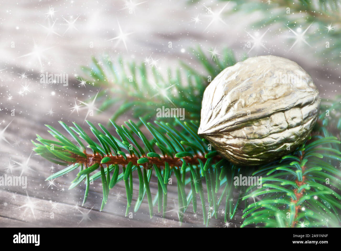 Golden nut hi-res stock photography and images - Alamy