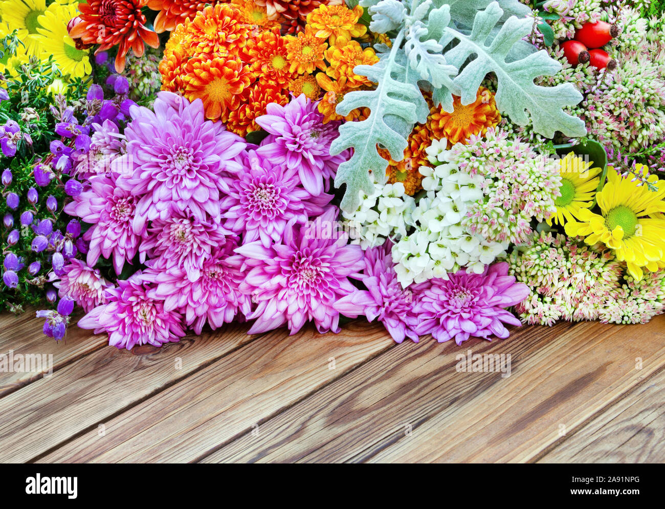 Autumn flowers background Stock Photo - Alamy