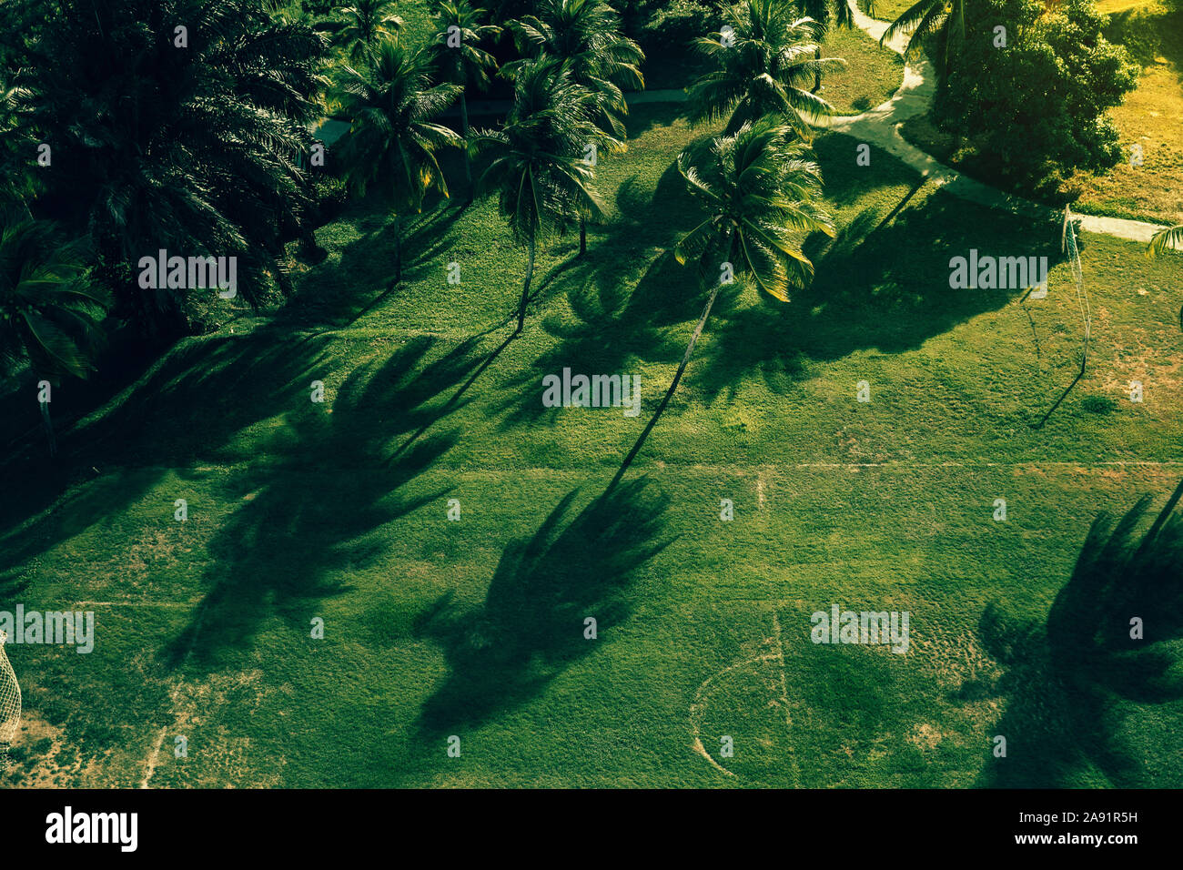 Aerial view of playing field and palm trees Stock Photo - Alamy