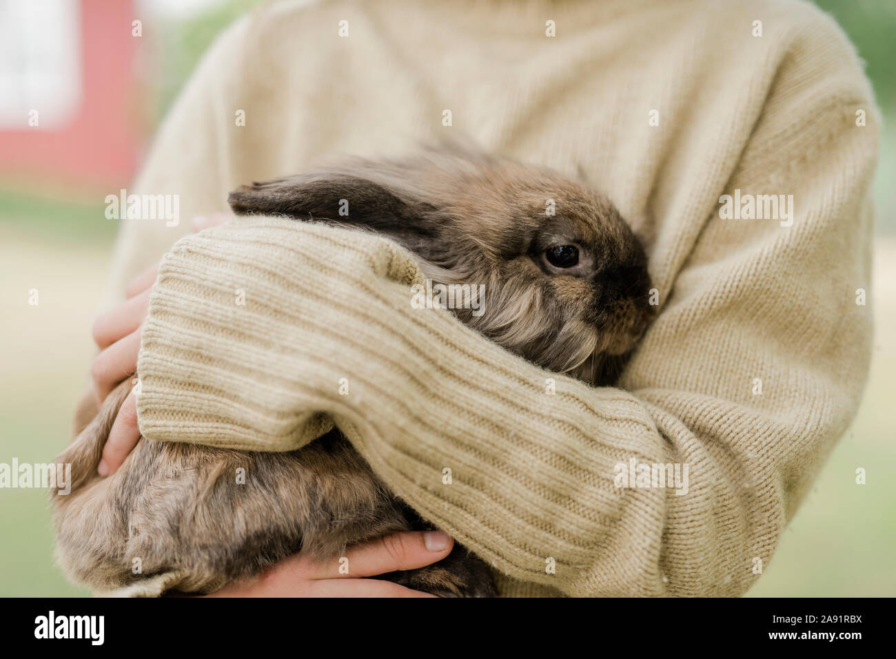 Girl holding rabbit Stock Photo - Alamy